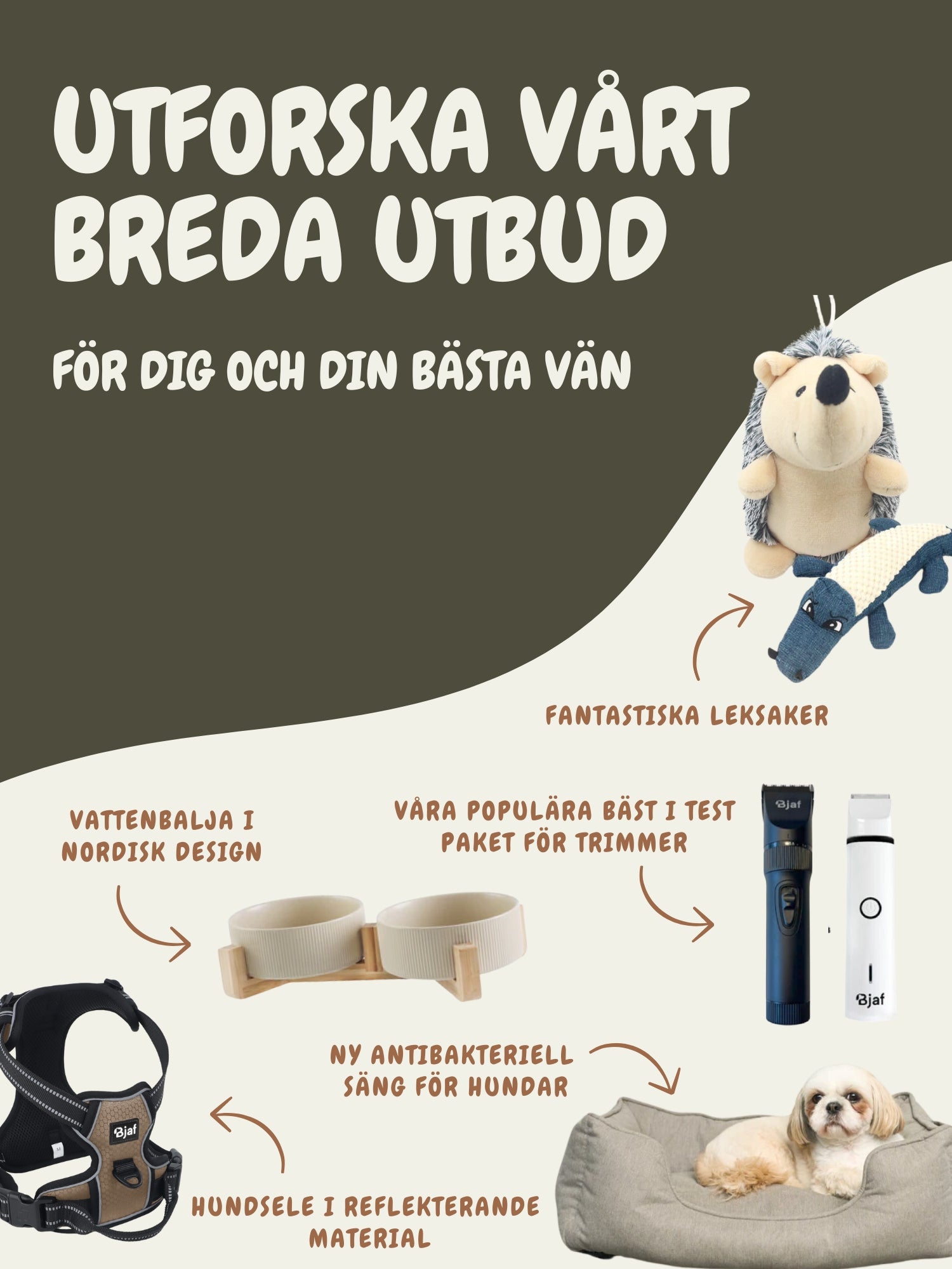 Hitta utrustning till din lilla hund här – Bjaf SE
