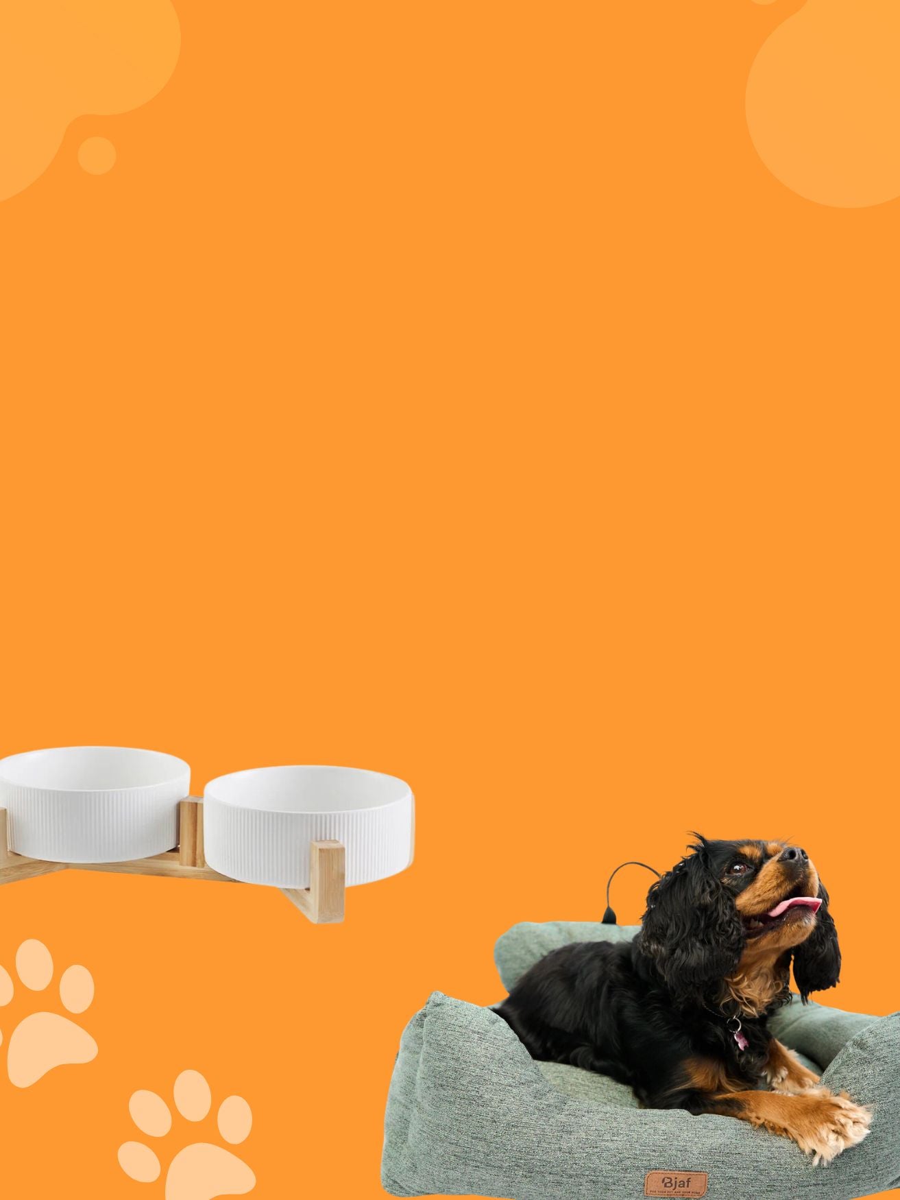 Hitta utrustning till din lilla hund här