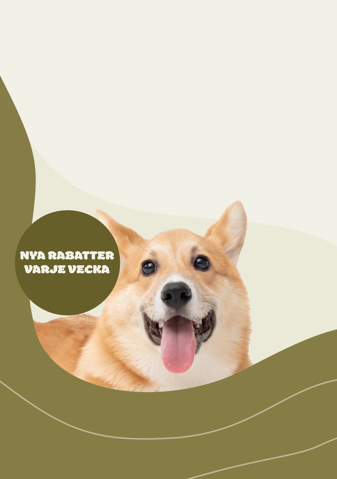 Hitta utrustning till din lilla hund här – Bjaf SE